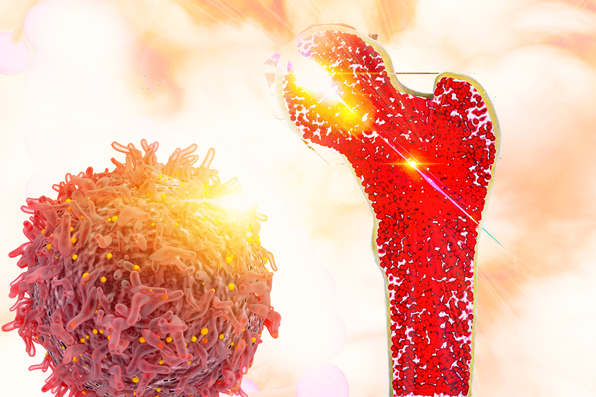 Bone Marrow Derived Stem Cells – CurPoint Orthopedic